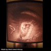 Emotionlite Night Light LED 8 Pack for Lithophanes • ItsLitho